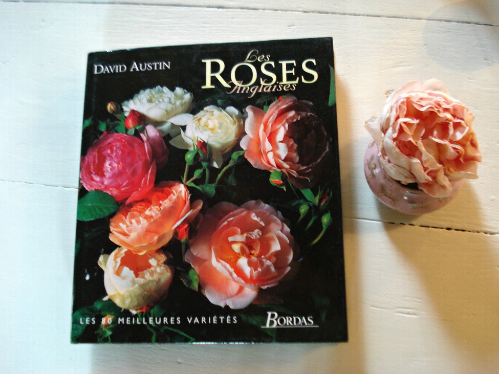 David Austin, » Les Roses Anglaises « , Ed. Bordas – Un COTTAGE en France