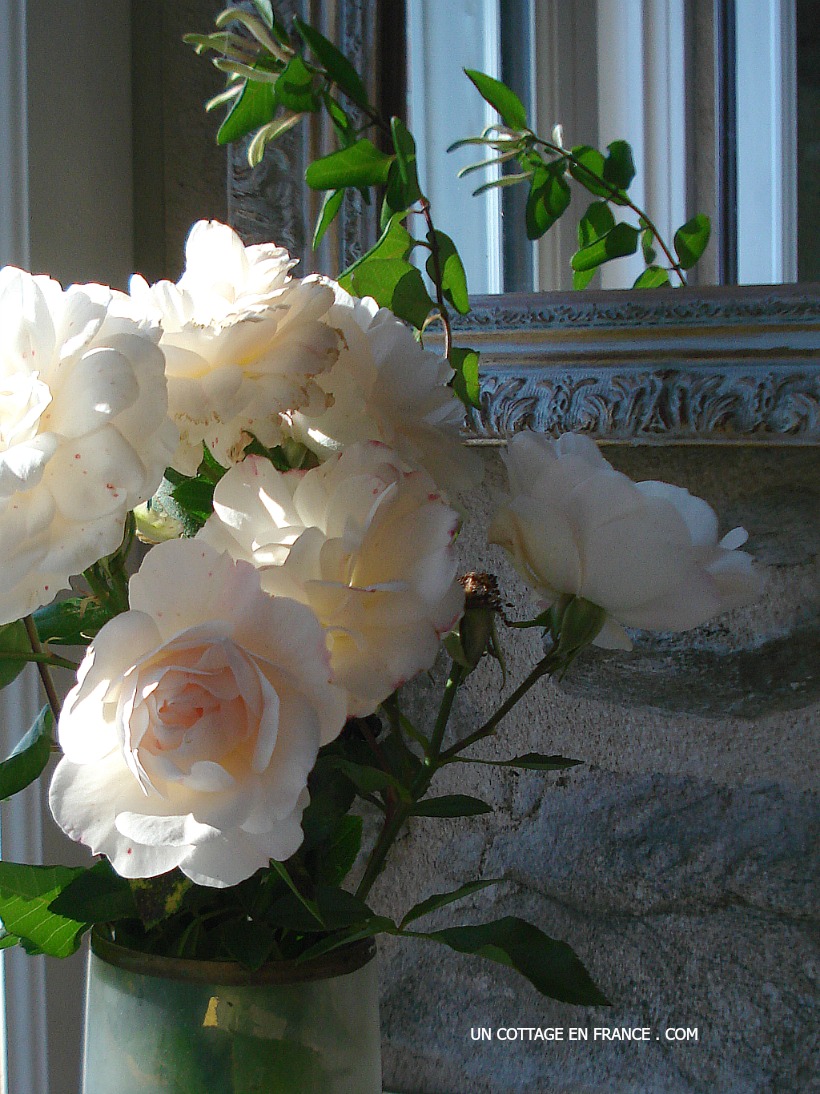Les roses blanches du cottage – The white roses of the cotttage – UN ...